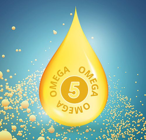 Omega-5 | Omega-5 Nedir? Faydaları Nelerdir? Nelerde Bulunur